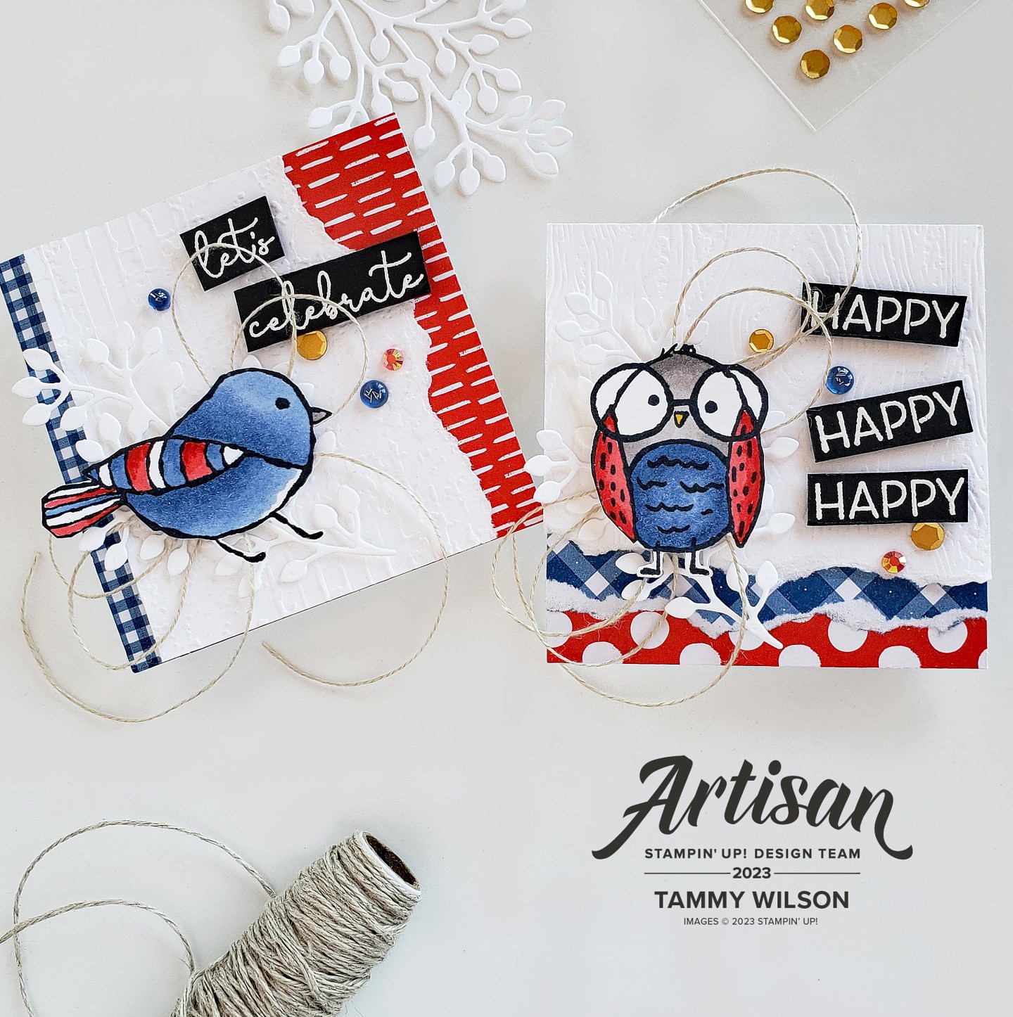 bird’s eye view – happy 4th of july…