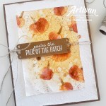 pick of the patch…